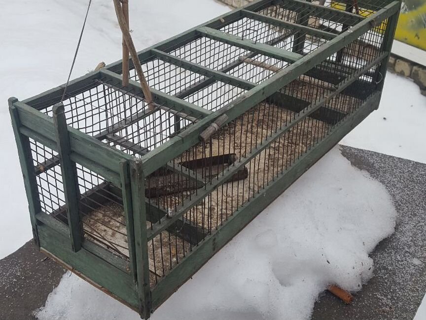Клетка для птиц ловушка
