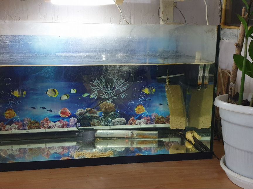Аквариум для рыб