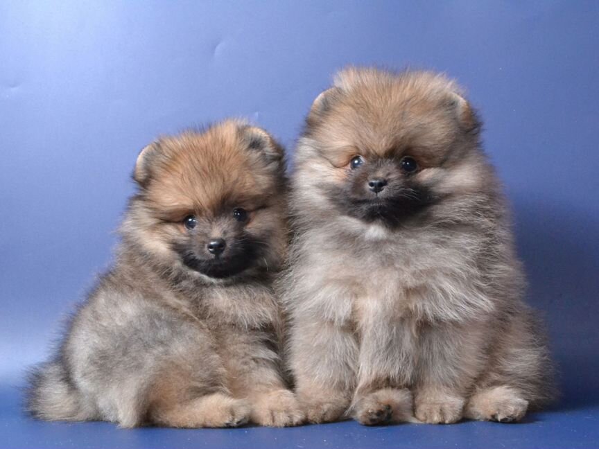 Очаровательные мальчики)