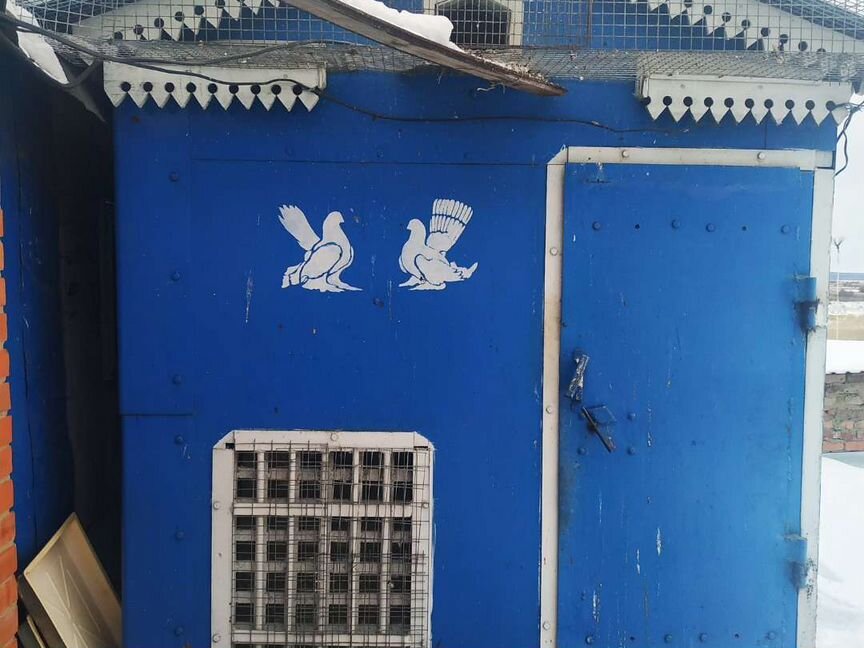 Голубятня продажа