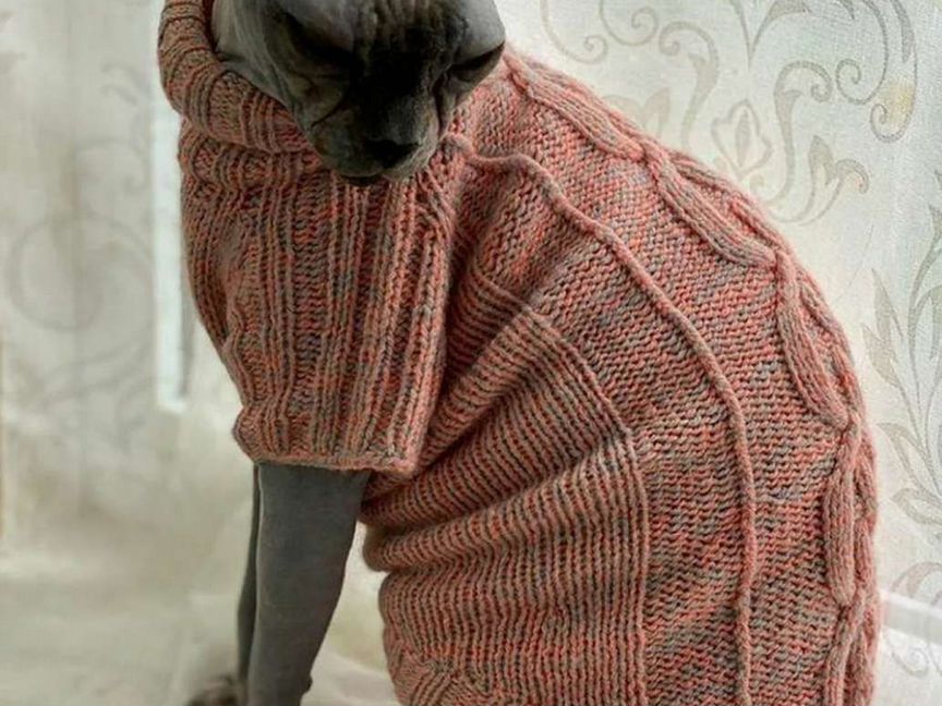 Вязанные вещи для животных