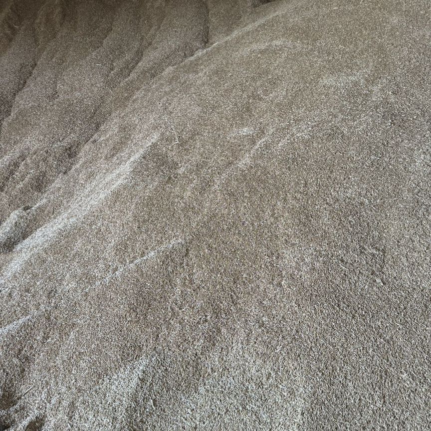 Ячмень семенной