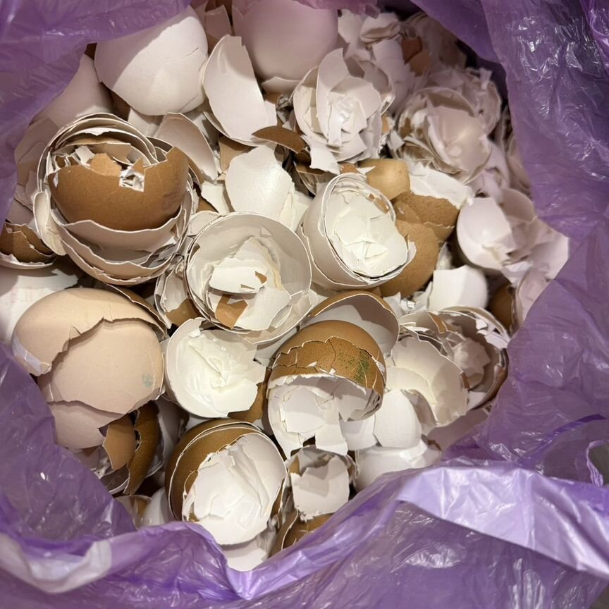 Яичная скорлупа (чистая)