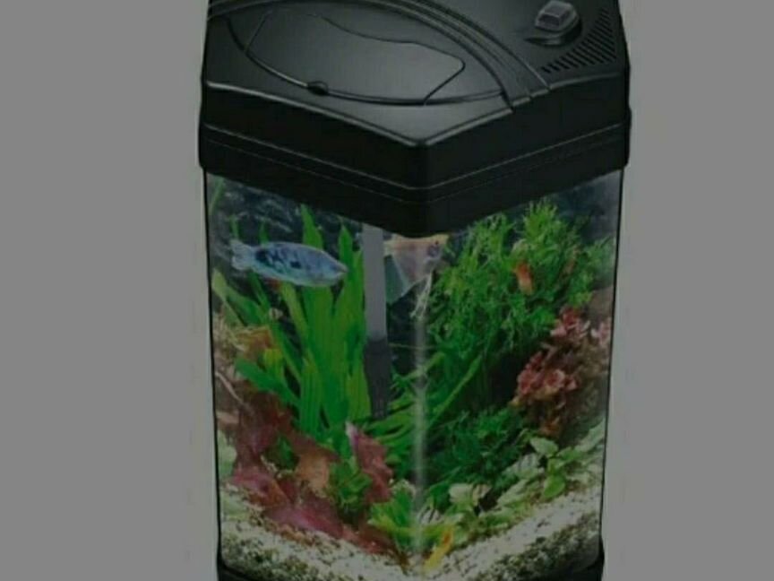 Аквариум Boyu LJ-430 68л