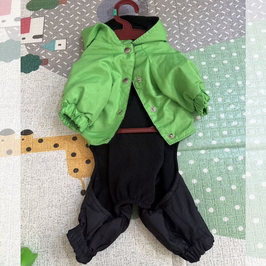 Одежда для собак