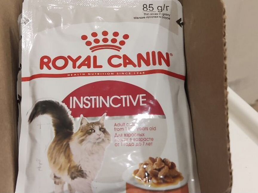 Влажный корм для кошек royal canin