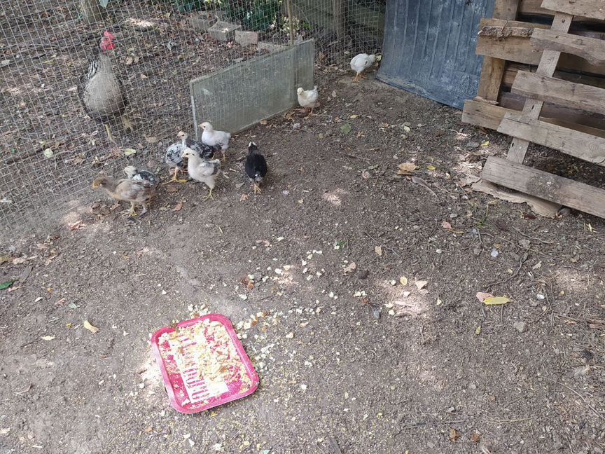 Продаю свое