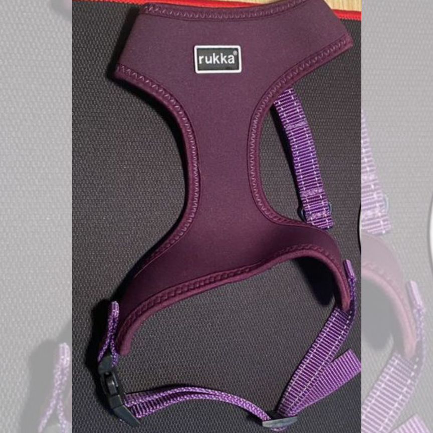 Шлейка для маленькой собаки rukka
