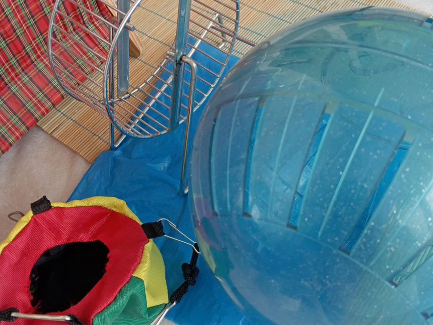 Вещи для хомяка или мышки