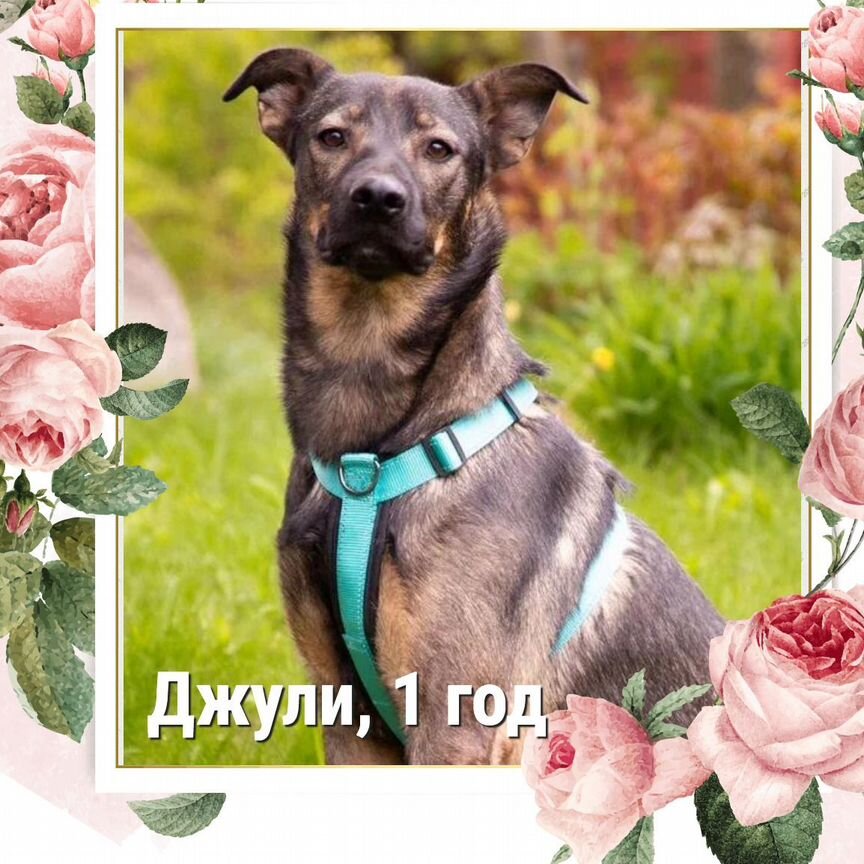 Джули – красотка и умница ищет семью