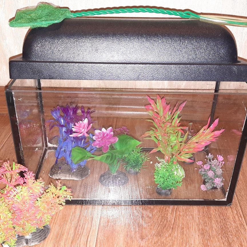 Аквариум 5л