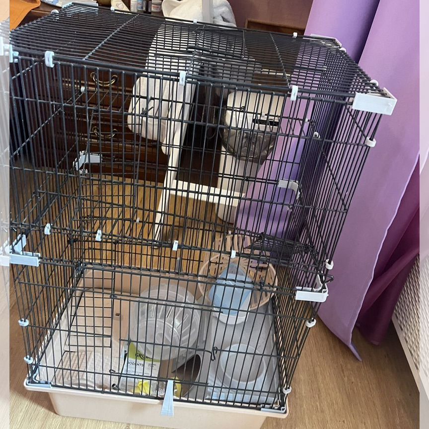 Клетка для хомяка 1 1