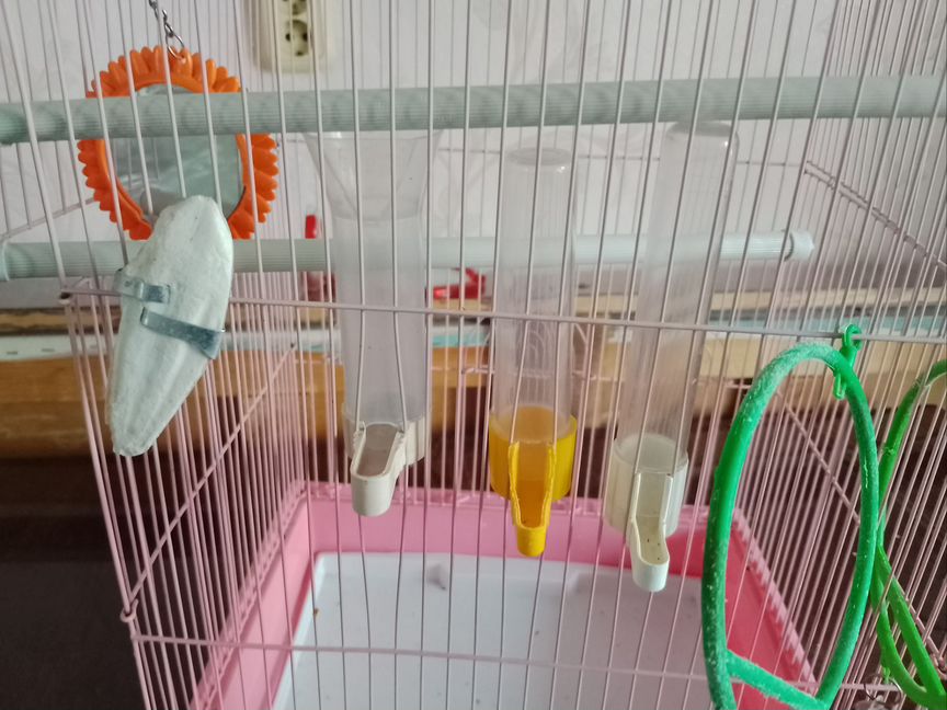 Клетка для попугая