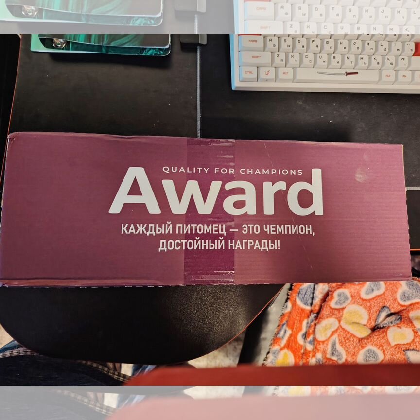 Авард для котят