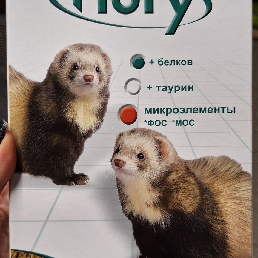 Корм для хорьков