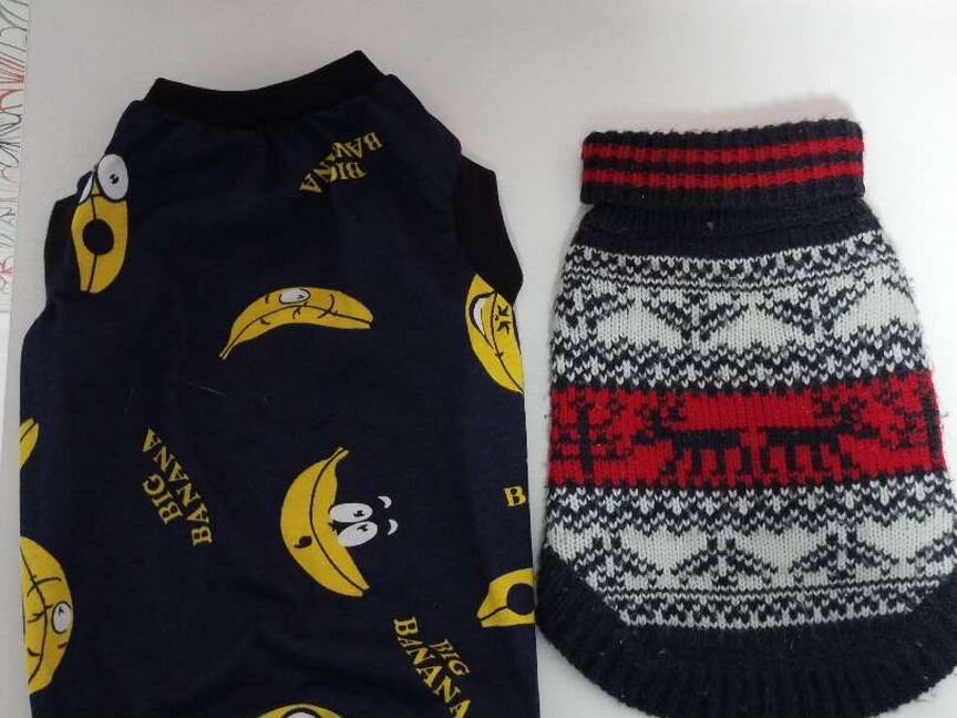 Одежда для животных