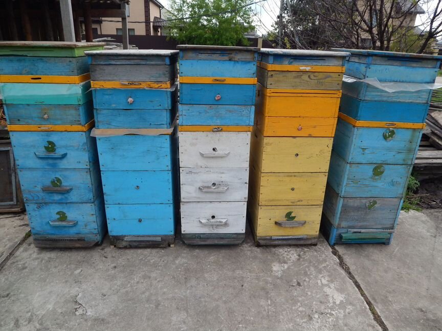 Улей для пчёл. Рут.+ Сушь