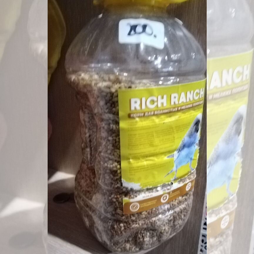 Попугай с клеткой продам