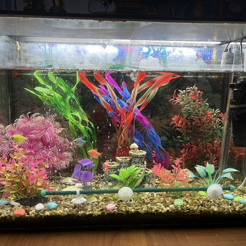 Аквариум с рыбками