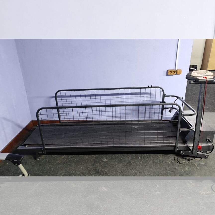 Беговая дорожка для собак