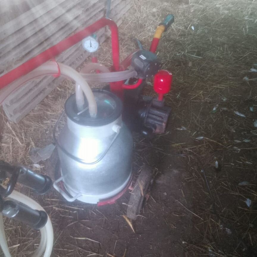 Аппарат для доения коров