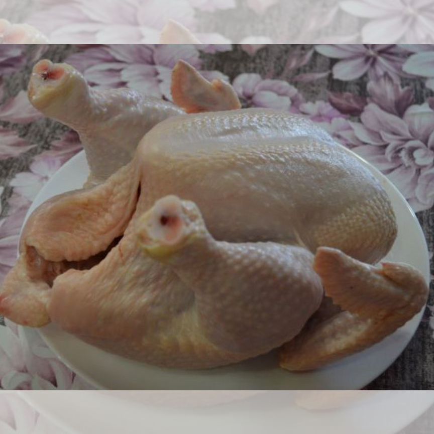 Домашние куры бройлеры (только свежие)