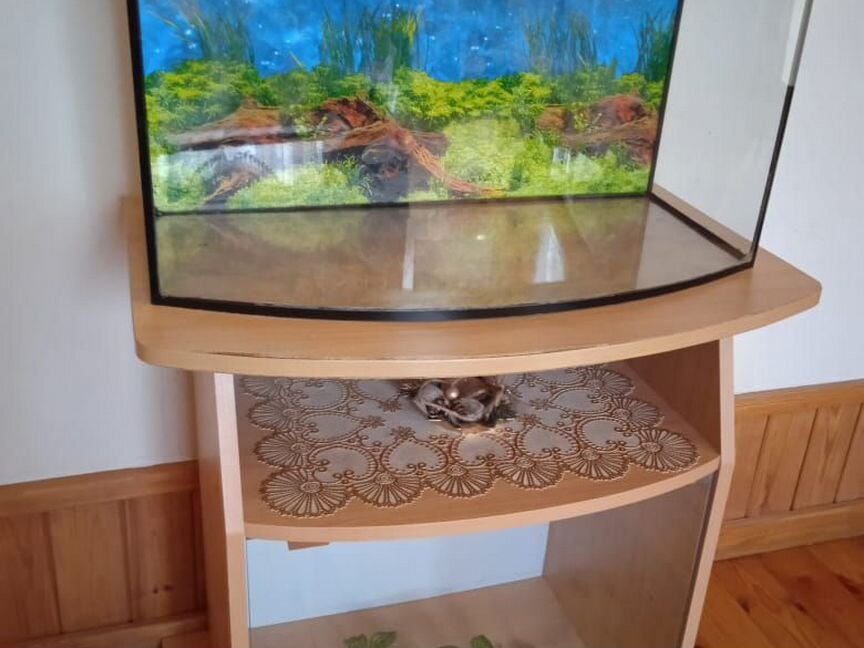 Аквариум (террариум) с тумбой