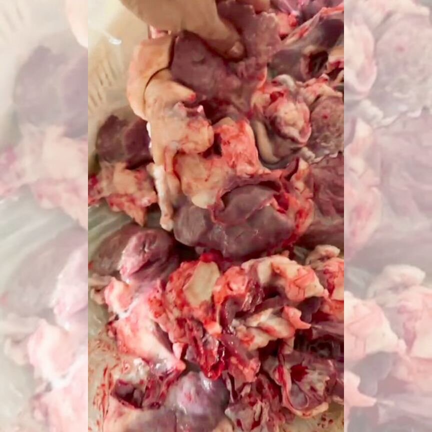 Мясо говядина для собак