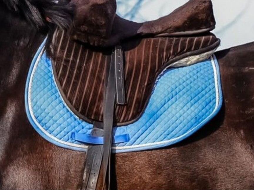 Безленчиковое седло