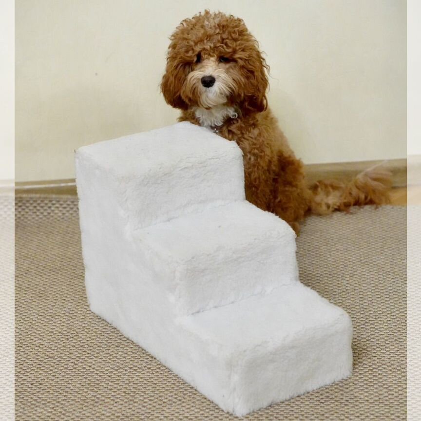 Ступеньки для собак