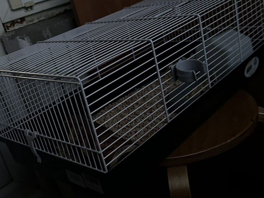 Клетка для грызунов большая