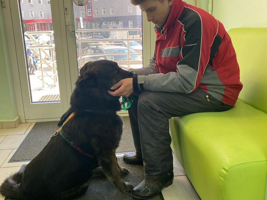 Над Потапом издевались, но он любит людей