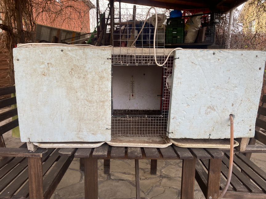 Брудер для цыплят бу