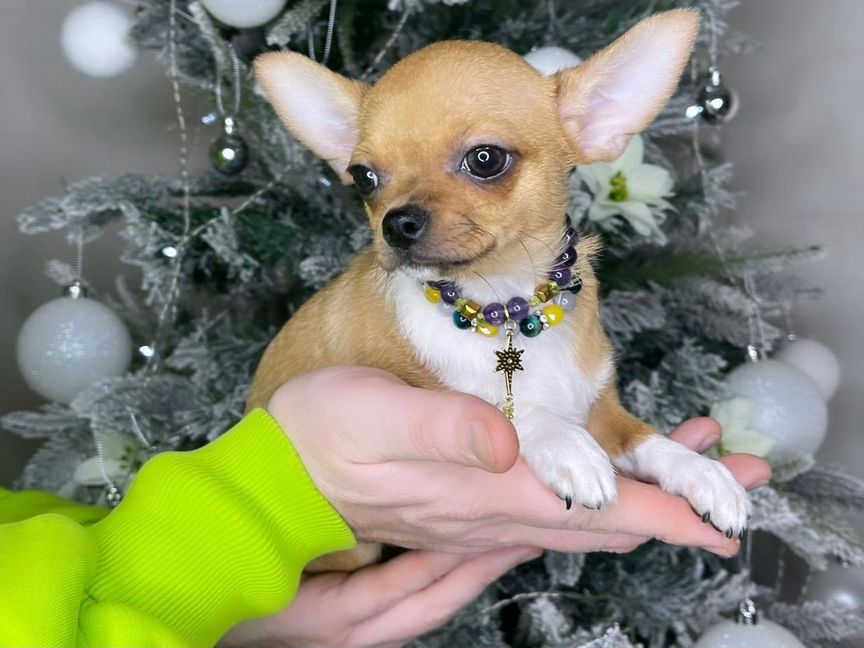 Кукольная мини девочка