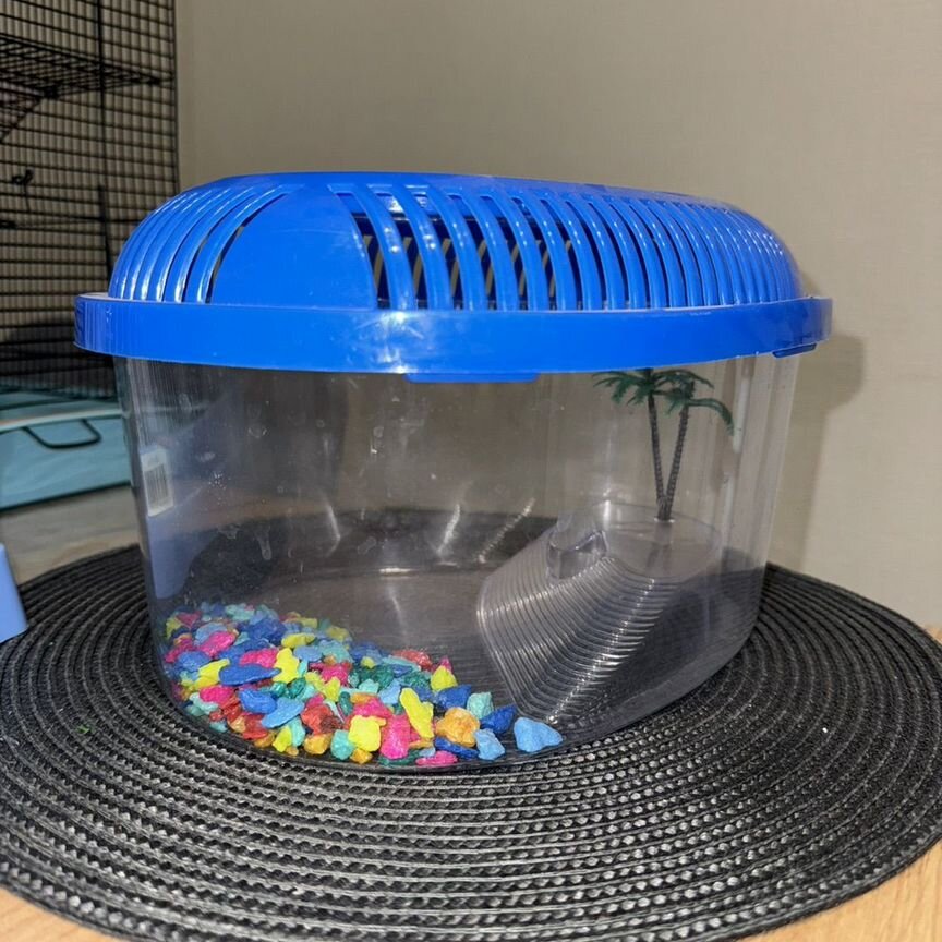 Террариум для черепахи бесплатно