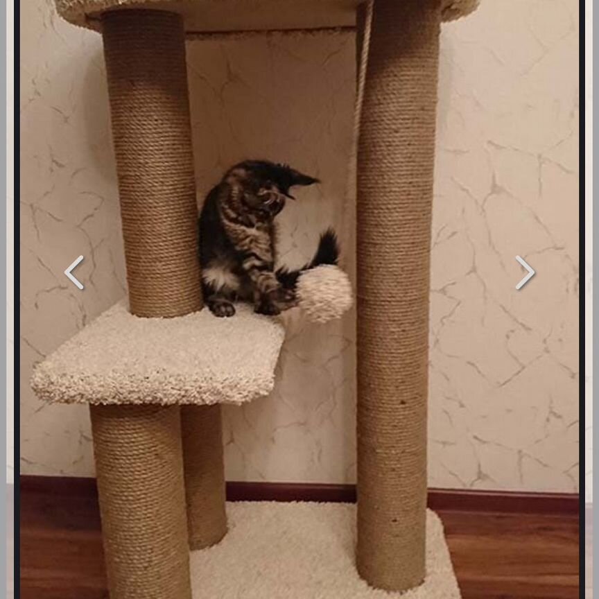 Когтеточка с лежанками, большая