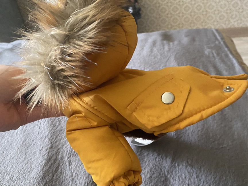 Зимняя куртка для живатных