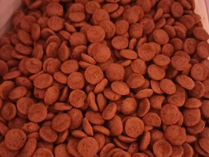 Корм для собак