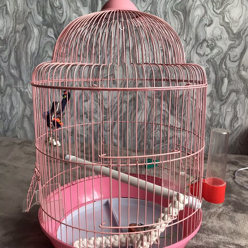 Клетка для попугая