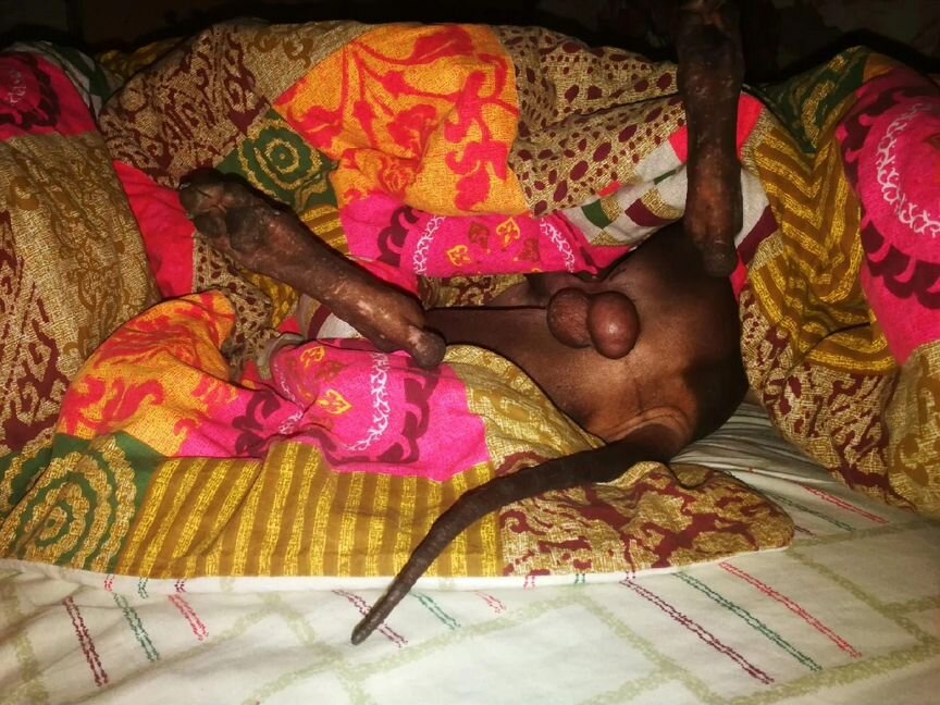 Мексиканец ксоло ищет невесту