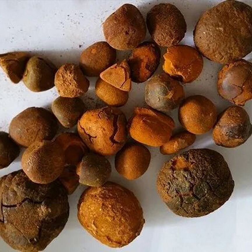 Желочный камень крс