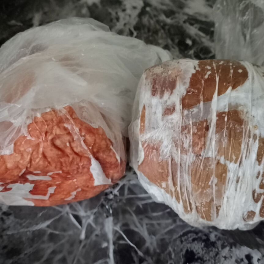 Еда для собак