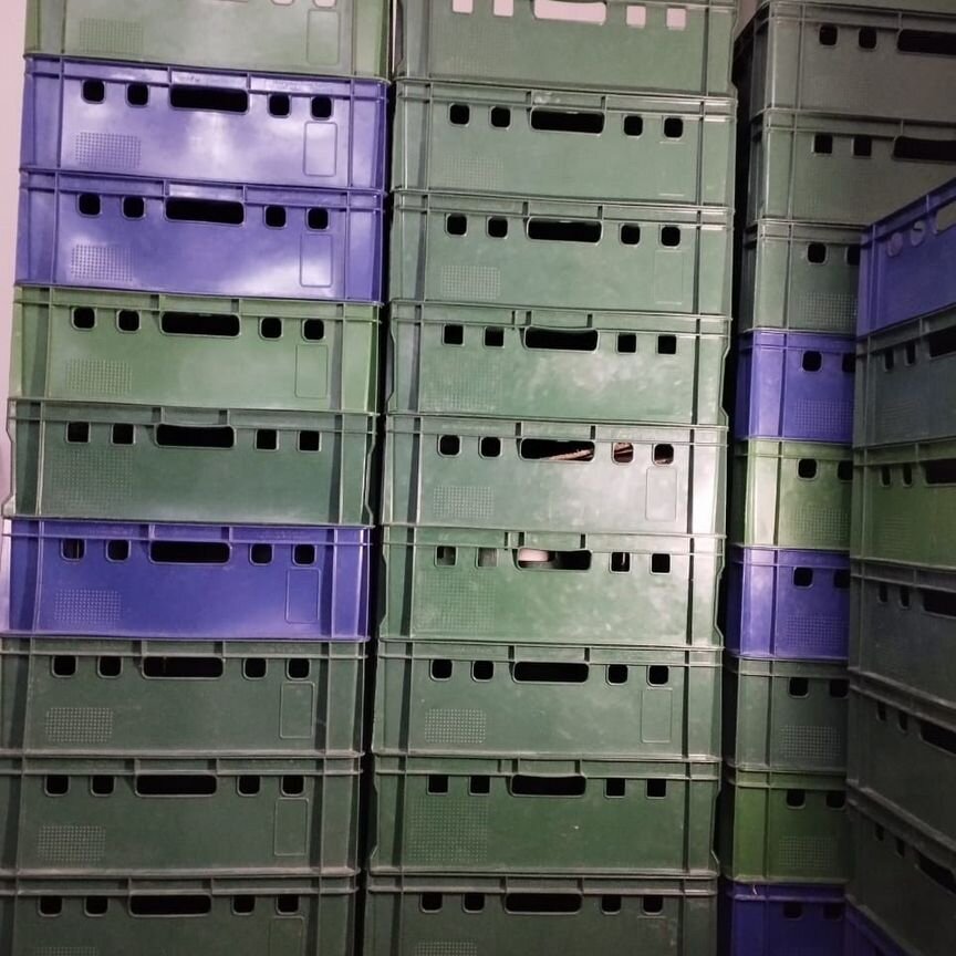 Ящик пищевой Е2