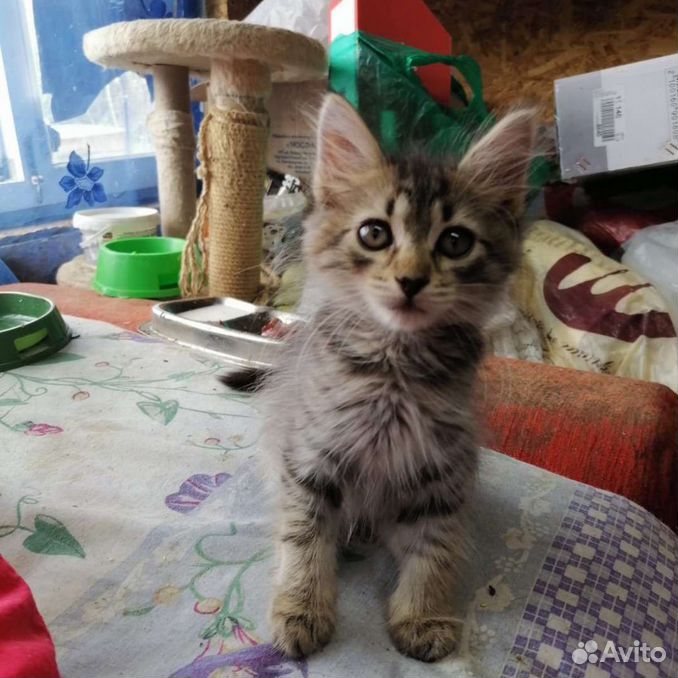 Малыш в приюте ждёт своих людей