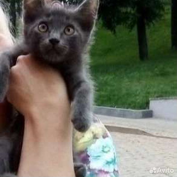 Мальчик Тим