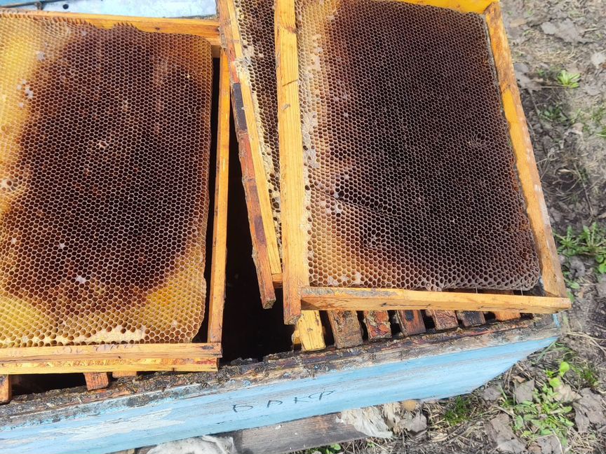 Рамки с вощиной