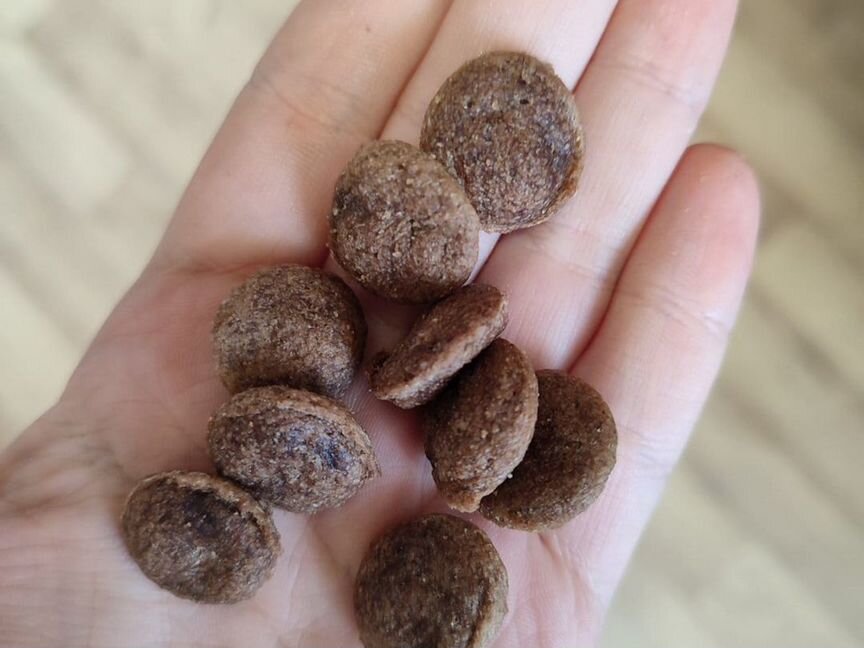 Сухой корм для собак и кошек оптом