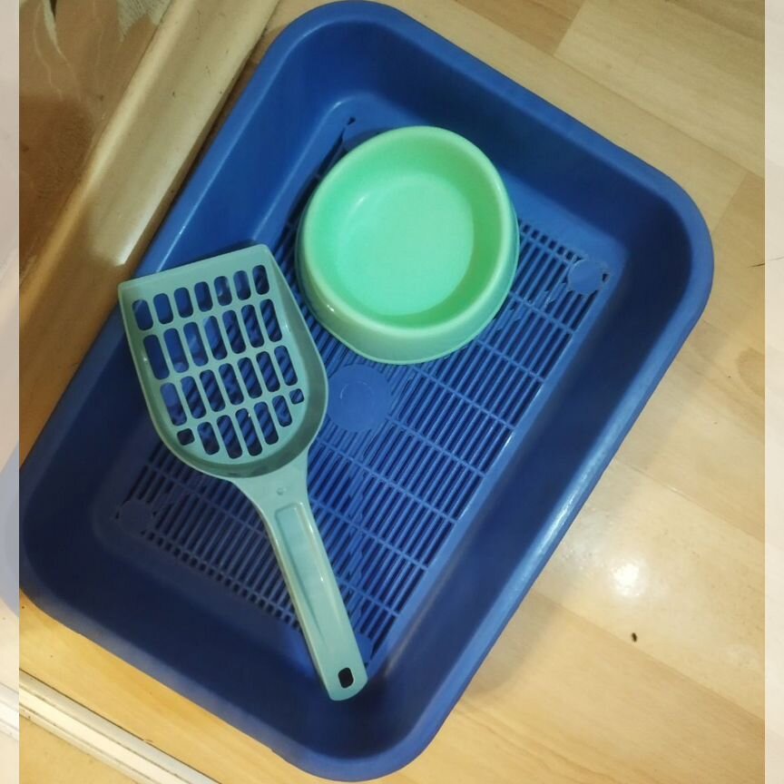 Лоток и миска отдам за