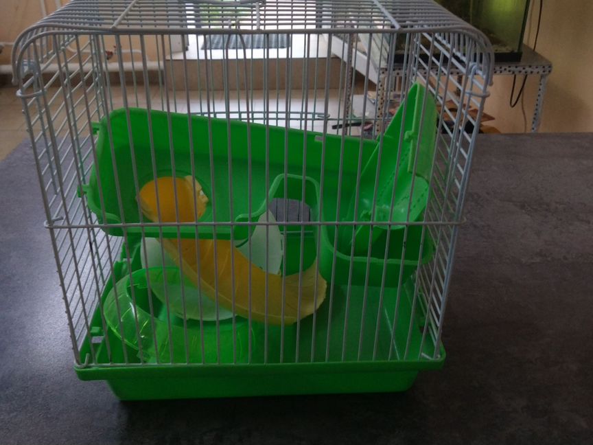 Клетка для джунгарского хомяка