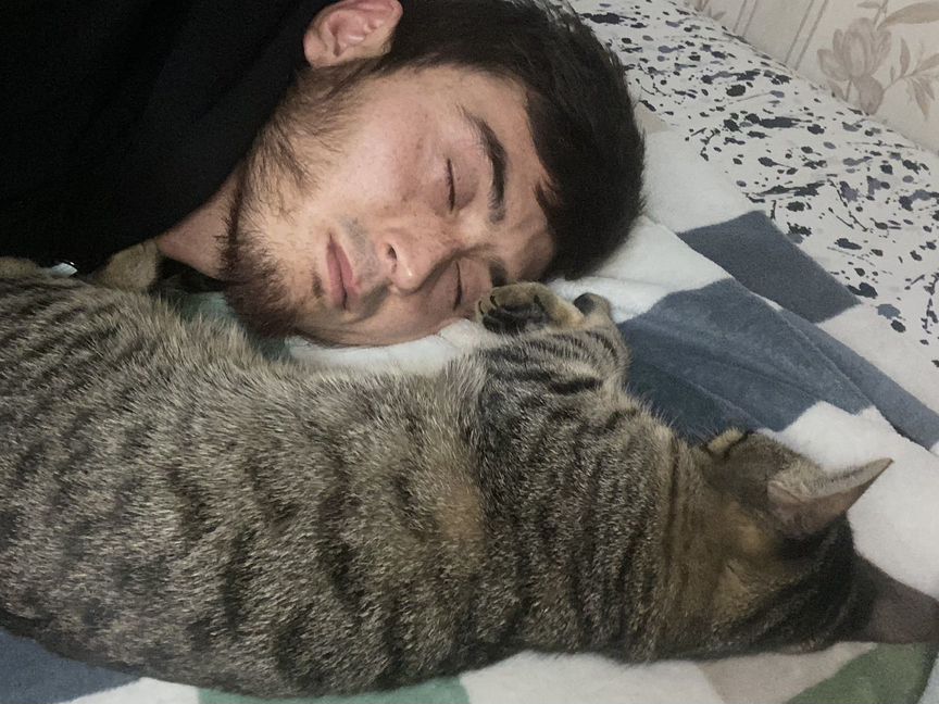 Кошка